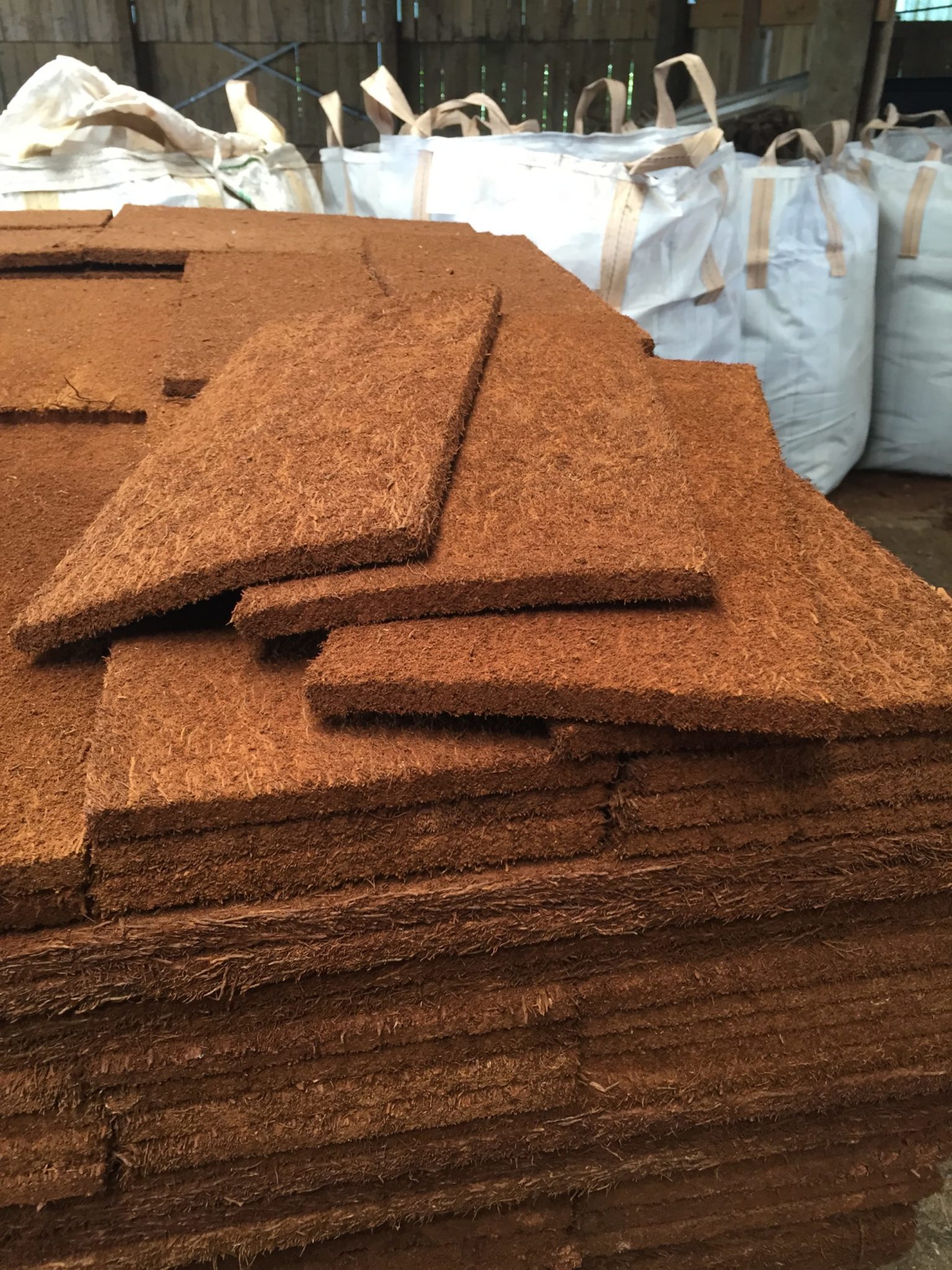 Soft Tree Fern Panels | Fernwood NZ