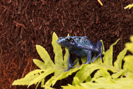 All Products | Fernwood NZ